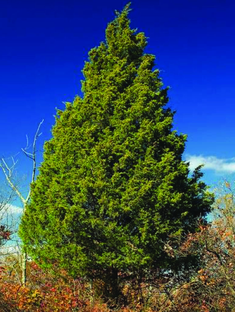 Home - Greening the Gateway Cities