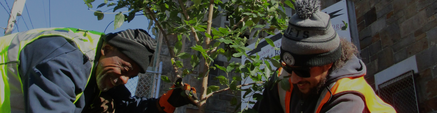 Chelsea - Greening the Gateway Cities